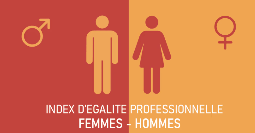 Index d'égalité professionnelle femmes-hommes 2024 - SGT